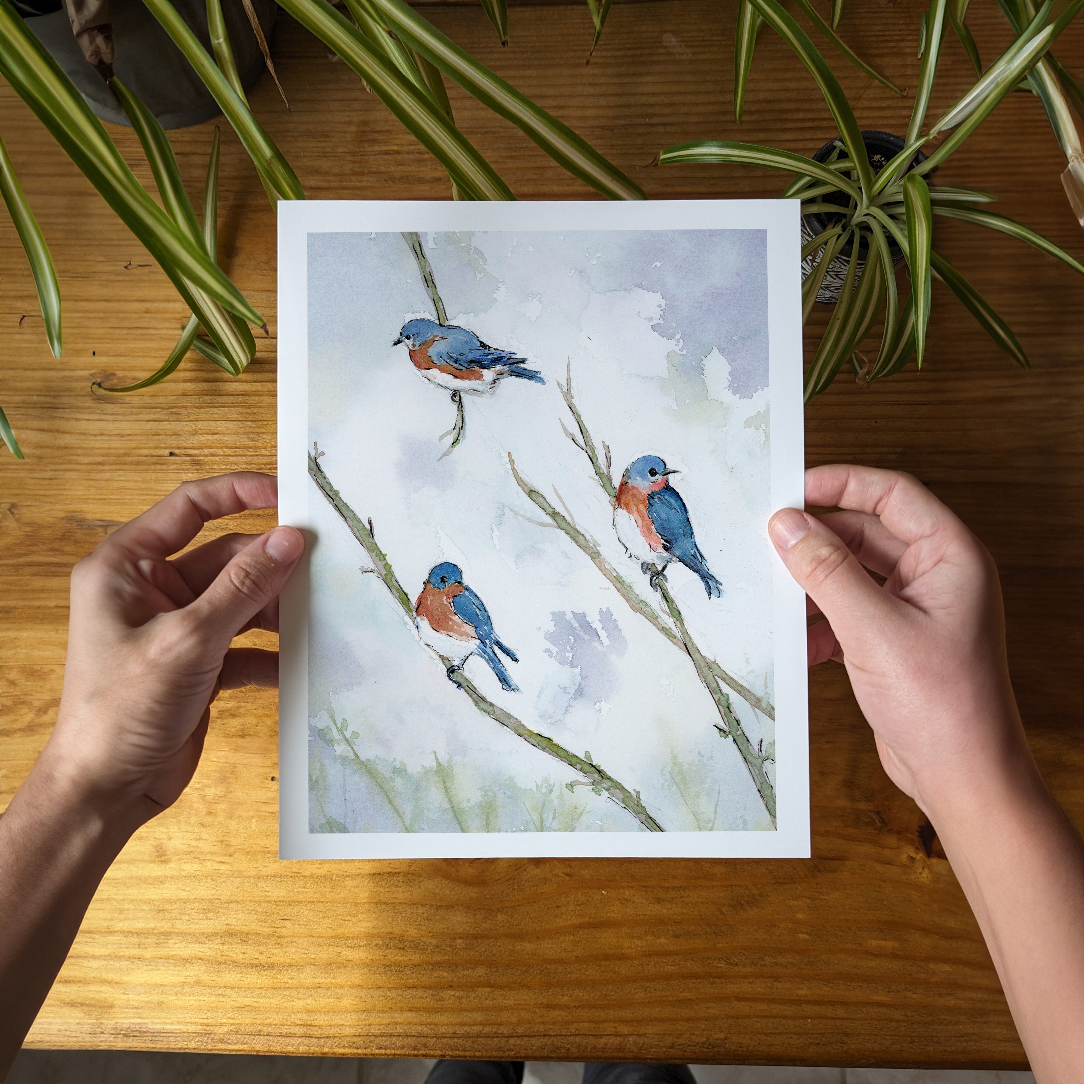 3 Blue Birds on Branches - Lora Cavallin Art - Not Framed, Print Only ...